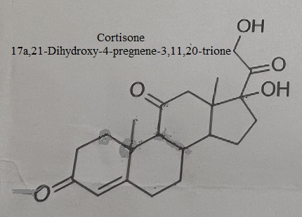 Draw the structure of cortisone shown below, identify the functional ...