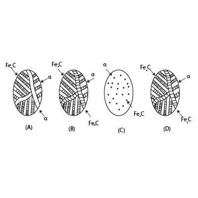 Schematic room temperature microstructures for four iron-carbon alloys ...