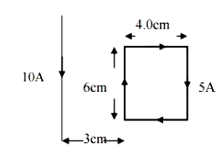 Find the magnitude and direction of the magnetic force on the ...