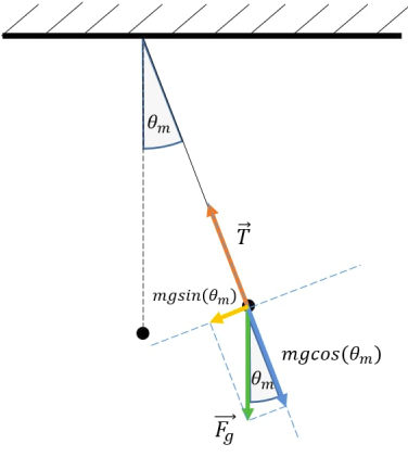 A pendulum bob of a mass of 500 g oscillates on a 2 m long string. When ...