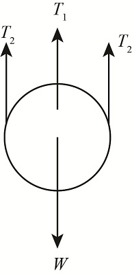 Assume the pulleys are frictionless and weightless. The hanging weight ...