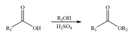 The Fischer esterification is really an example of: a. a nucleophilic ...