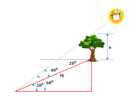 A tree is growing perpendicular to the horizon on a slope with an angle ...