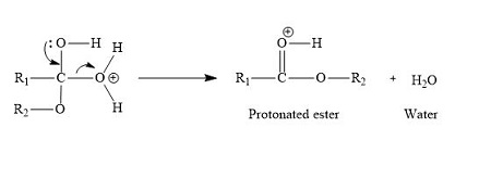 A strong acid is generally used to catalyze the Fischer esterification ...