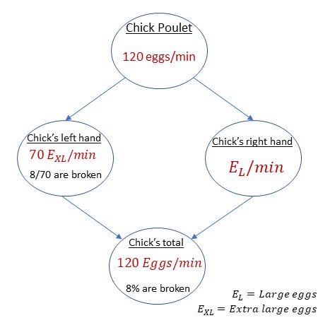 Eggs are sorted into two sizes ( large and extra large) at the Cheerful ...