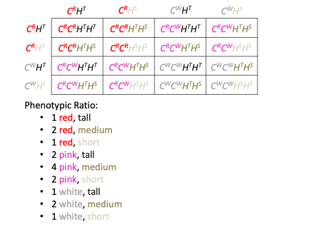 Incomplete Dominance Ratio