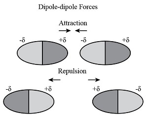 There are different types of dipole related forces. What are they? How ...
