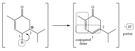 (R)-Carvone, the major component of the oil of spearmint, undergoes ...