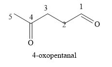Name the following compounds (A to H): | Homework.Study.com