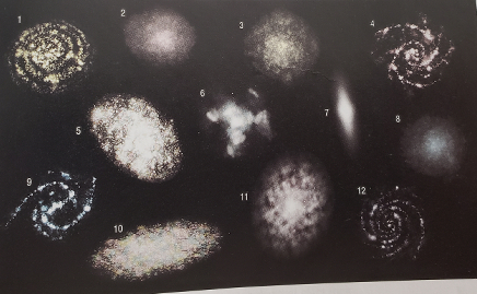Based on the following picture, classify which galaxies belong to the ...