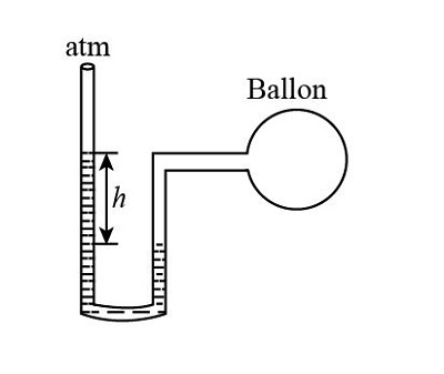 a. Find the gauge pressure in the balloon, in units Pa. Recall the ...