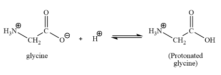 Based on the pKa of glycine hydrochloride (pKa1 = 2.35, pKa2 = 9.60 ...