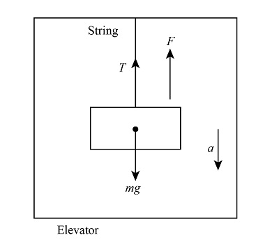 An object is suspended by a string from the ceiling of an elevator. If ...