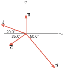 The magnitudes of the four displacement vectors, shown in the drawing ...