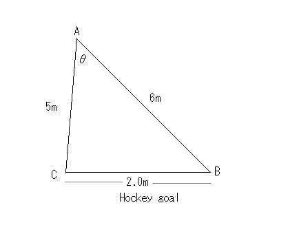 The posts of a hockey goal are 2.0m apart. Tyler attempts to score by ...