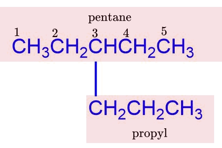 Identify the IUPAC name of the depicted compound. | Homework.Study.com