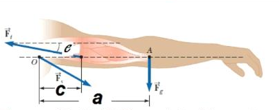 [{Image src='hand3791241286764793347.png' alt='figure1' caption ...