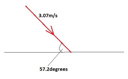When the Sun is directly overhead, a hawk dives towards the ground at a ...