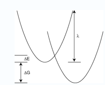 In chemistry, Marcus Theory is a method for modeling activation ...