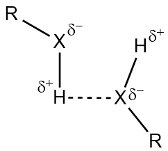 Give two examples of atoms/molecules from tocainide that can bind ...