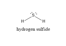 Draw the Lewis structure and Molecular model for H_2S. | Homework.Study.com