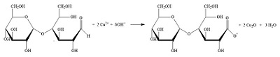 One maltose is a described as a two alpha D-glucose unit connected by ...