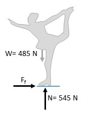 Compute the frictional force F_f applied to the skater shown in the ...