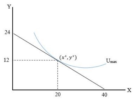 A) Suppose an individual has preferences over two goods that can be ...