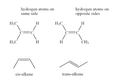 Draw chemical formula that represents the different functional groups ...