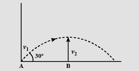 a body is projected with velocity v1 from a point a at the same time ...
