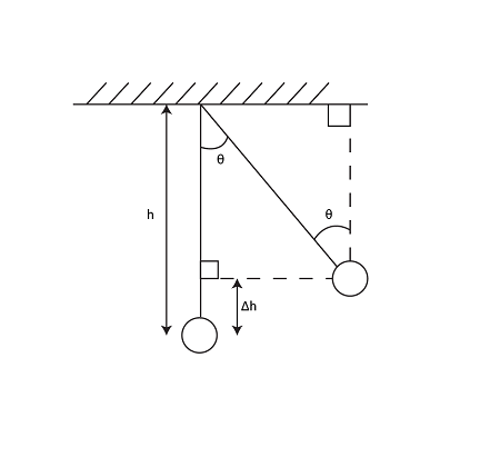 A pendulum is 90 cm long. The speed of the bob is 150 cm/s as it passes ...