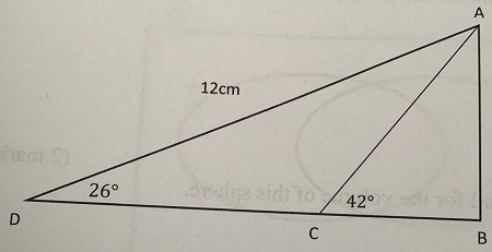 Work out the area of the triangle ACD. | Homework.Study.com