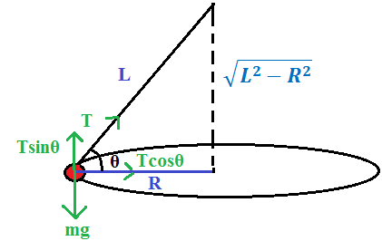 A conical pendulum is formed by attaching a pebble of mass M kg to an L ...