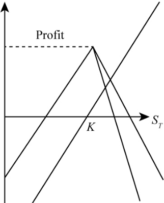 Draw a diagram showing the variation of an investor's profit and loss ...