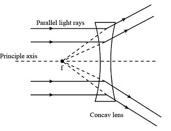 Compare the positive and negative lens: What are the differences ...
