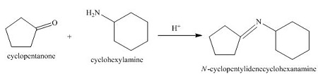 What are the products of the following reactions? 1) cyclopentanone ...