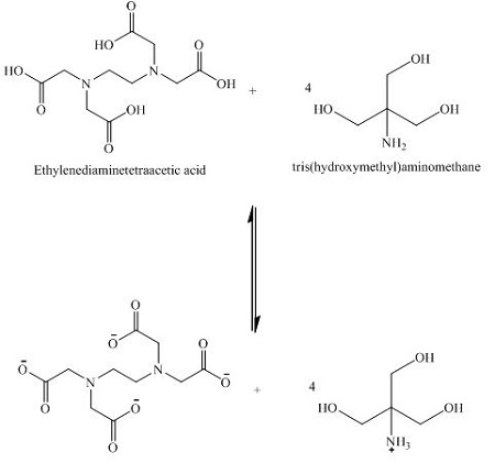What is the possible ionic equation of Tris EDTA solution? | Homework ...