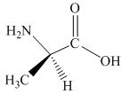 Complete the wedge-dash structure of the amino acid D-alanine by ...