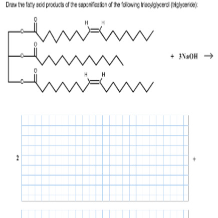 Draw the fatty acid productsof thDraw the fatty acid productsof the ...