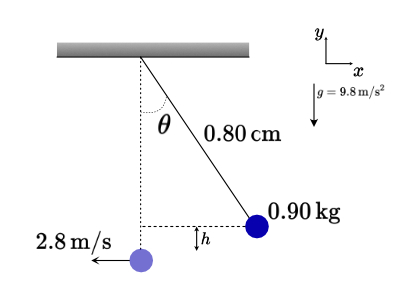 An 80 cm long pendulum with a 0.90 kg bob is released from rest at an ...