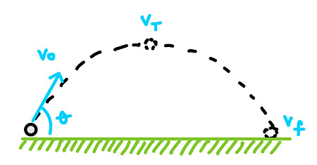 Apply kinematic equations to a jumping flea. Take the magnitude of free ...