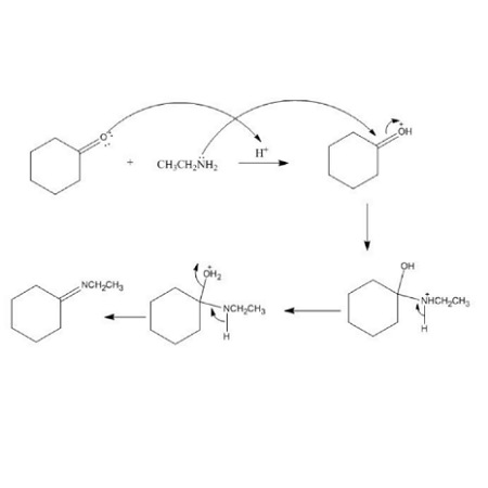 Draw the major organic product formed when the compound cyclohexanone undergoes a reaction with ...