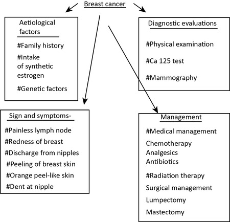 Provide a Breast cancer concept map. | Homework.Study.com