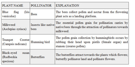 Complete the table of Pollinators and its corresponding Explanation ...