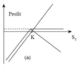 Draw a diagram showing the variation of an investor's profit and loss ...