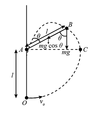 A heavy particle is suspended by a string of length l. The particle is ...