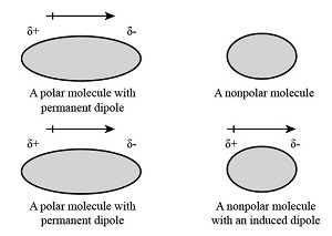 There are different types of dipole related forces. What are they? How ...
