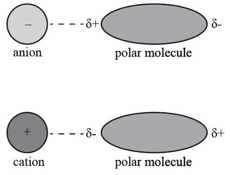 Describe an ion-dipole interaction by sketching two cases: one that ...