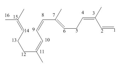 Provide the IUPAC name for the following compound. | Homework.Study.com