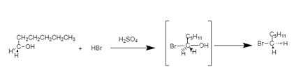 Describe the reaction mechanism for 1-bromohexane. | Homework.Study.com